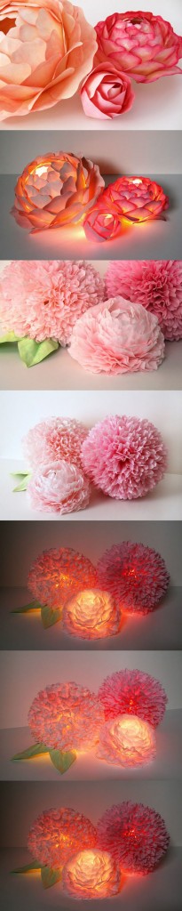 Beautiful Red Flower | Best DIY Ideas